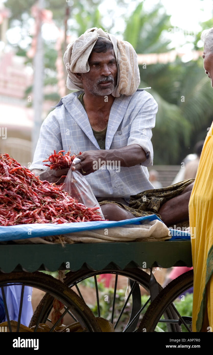 Market trader selling chillies on a barrow in India Stock Photo - Alamy