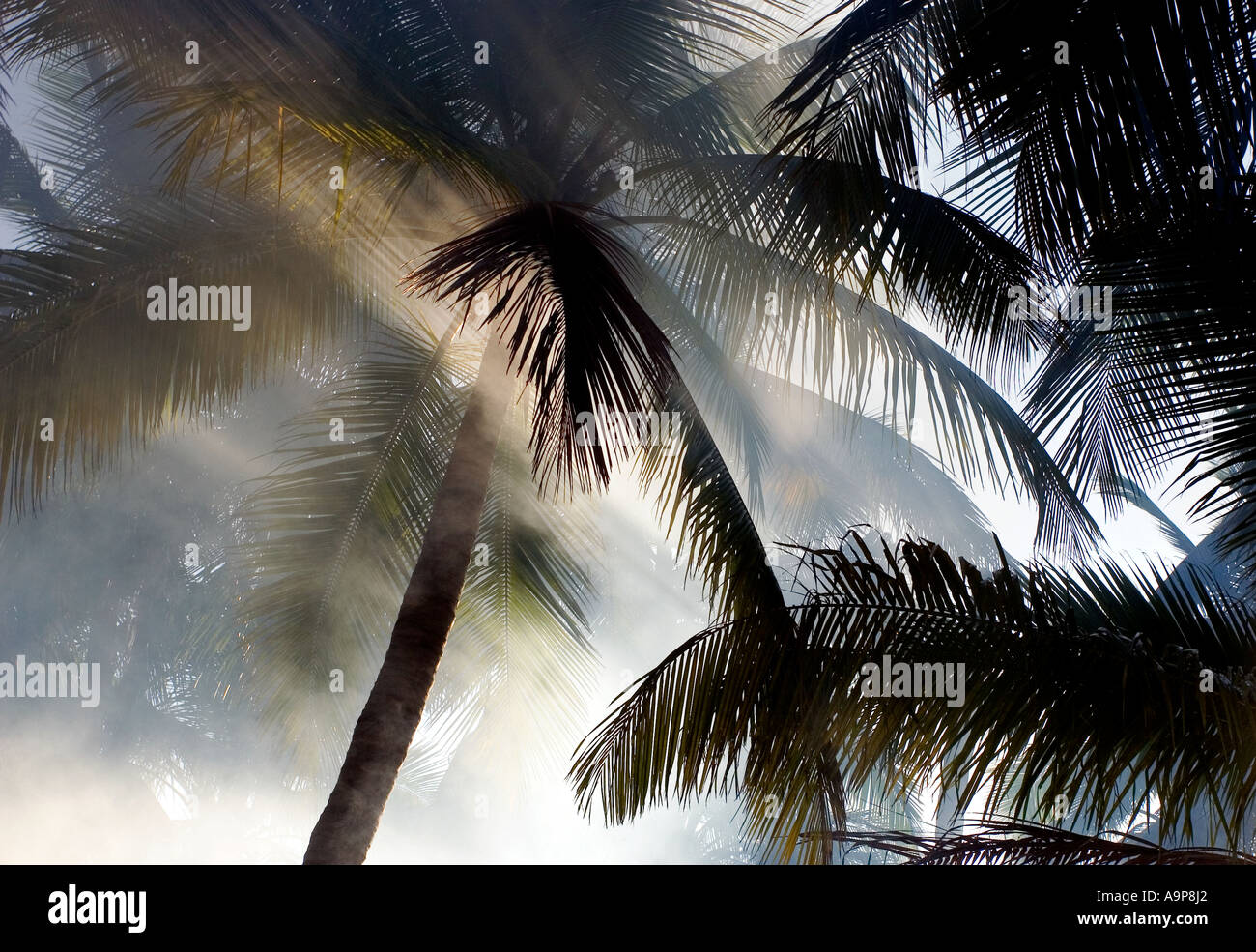 Indian sun god hi-res stock photography and images - Alamy