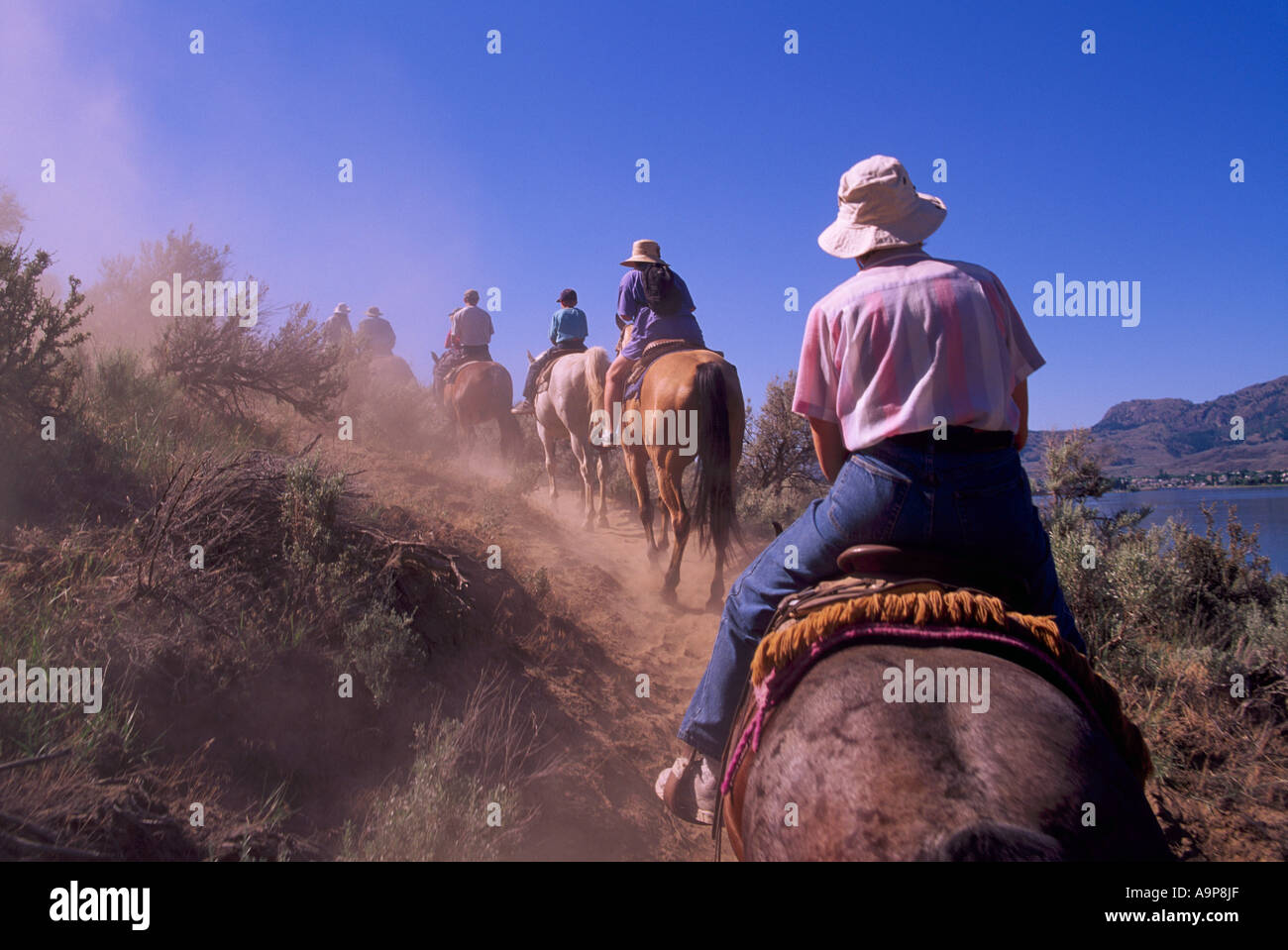 Pocket desert hi-res stock photography and images - Alamy