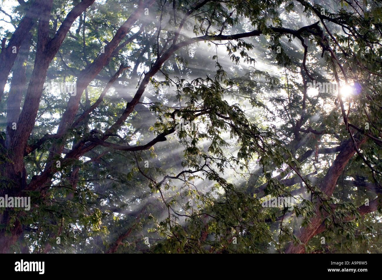 India sun beams hi-res stock photography and images - Alamy