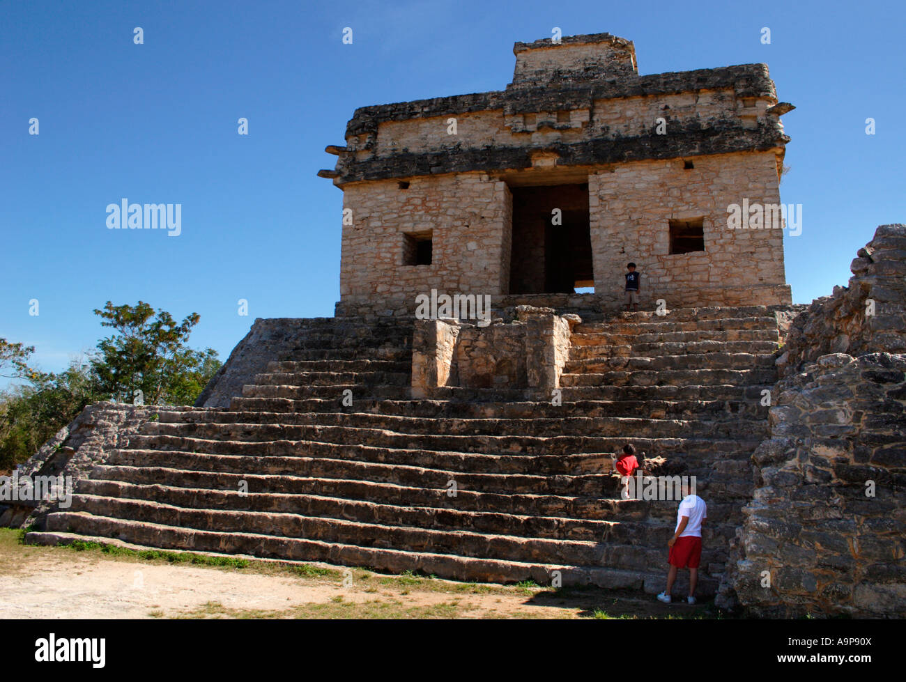 Maya archaeological Ruin, Dzibilchaltun, Yucatan, Mexico Stock Photo ...