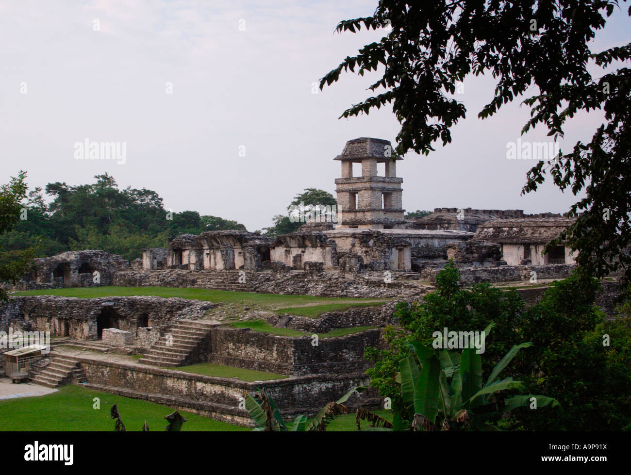 Maya archaeological Ruin,Palenque,Chiapas, Mexico Stock Photo - Alamy