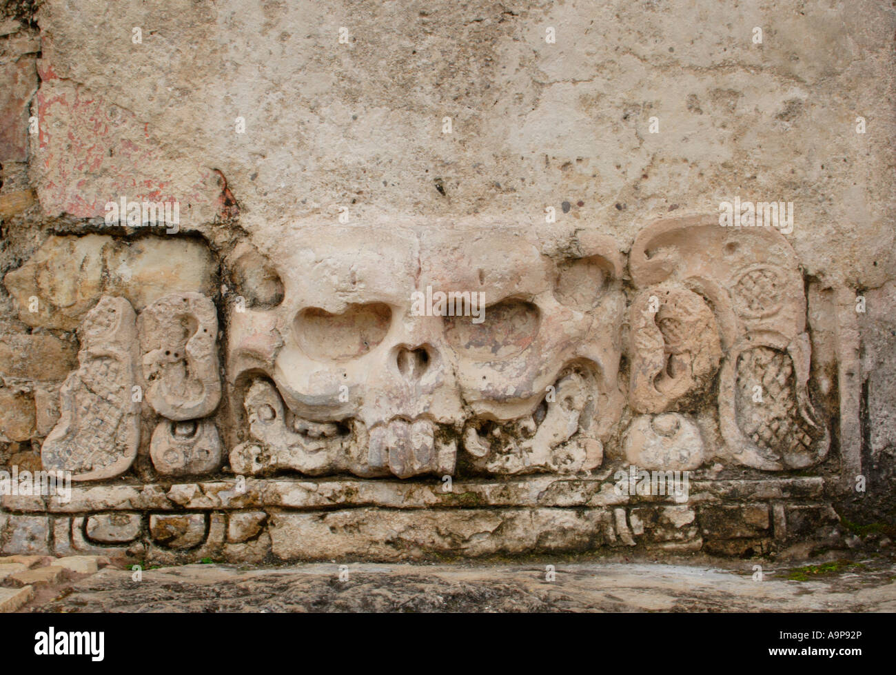 Palenque,Rabbit skull sculpture, Maya archaeological ruin, Chiapas ...