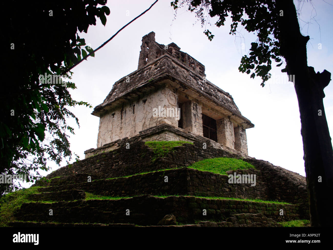 Palenque,Temple of the Sun, Maya archaeological ruin, Chiapas, Mexico ...