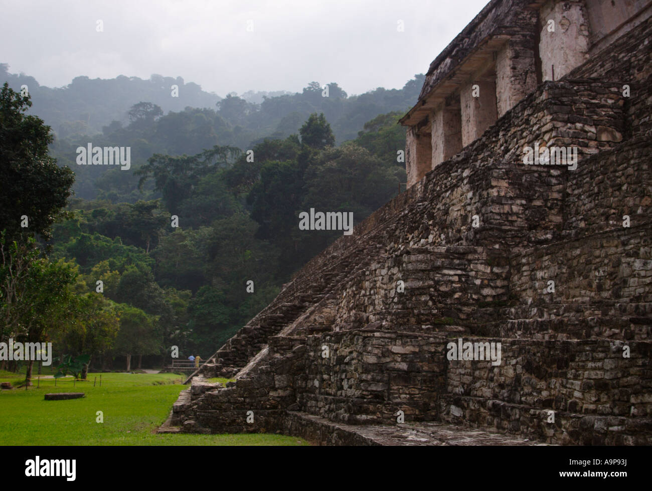 Temple of the Inscriptions, the tomb of the Emperor Pacal Palenque,Maya ...