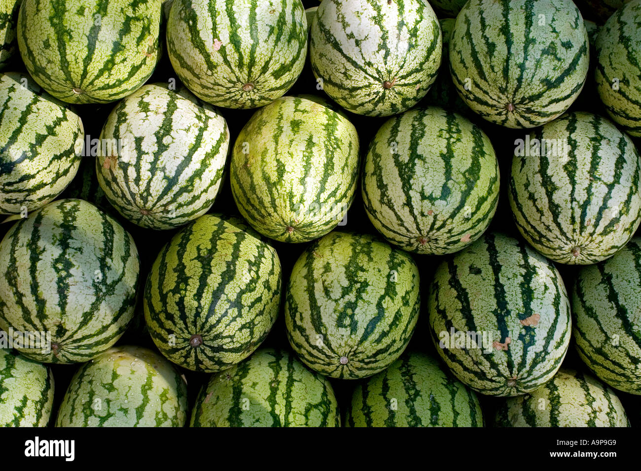India watermelon sale hi-res stock photography and images - Alamy