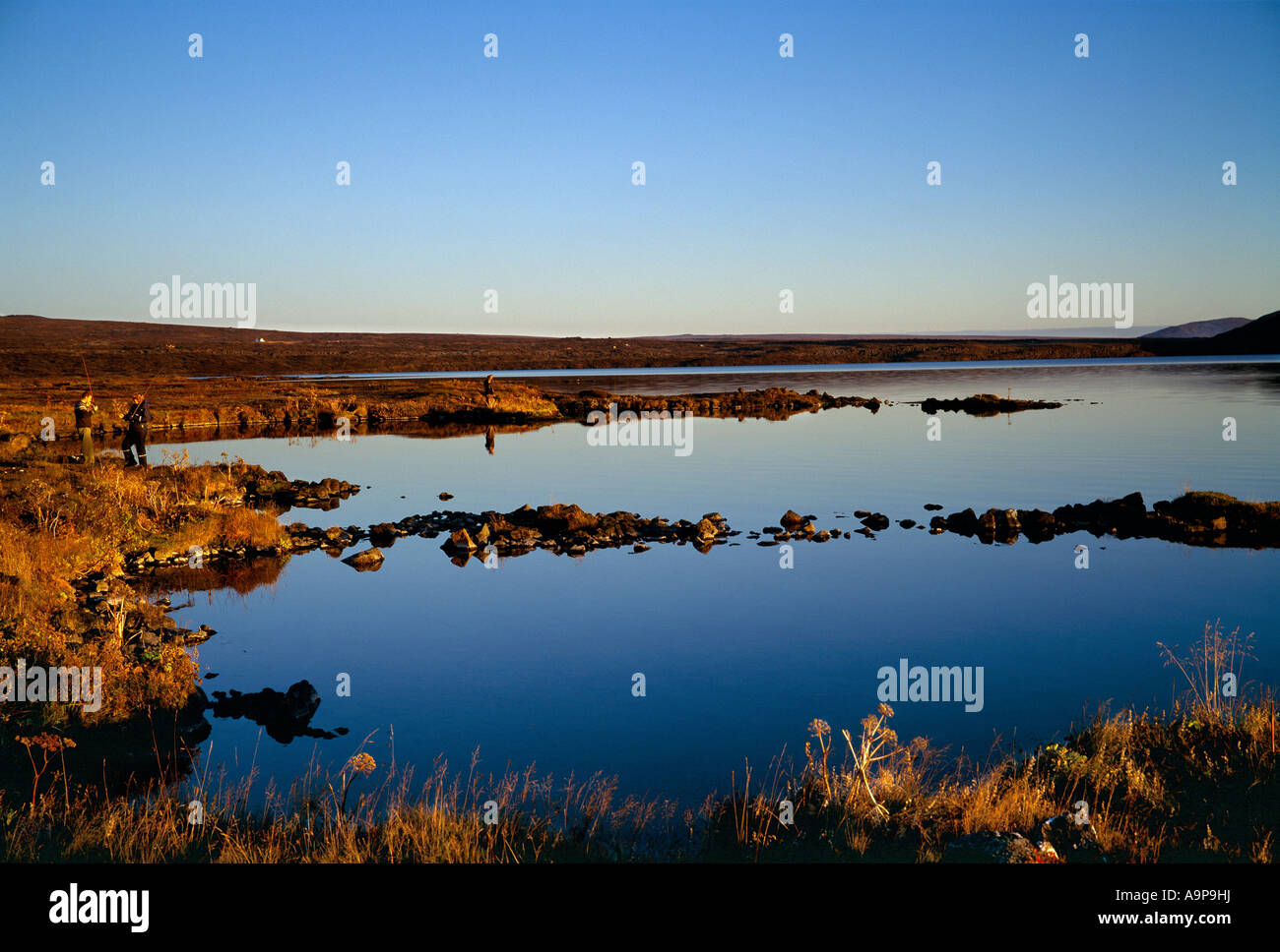 Thingvellir lively colors in the autumn Stock Photo - Alamy