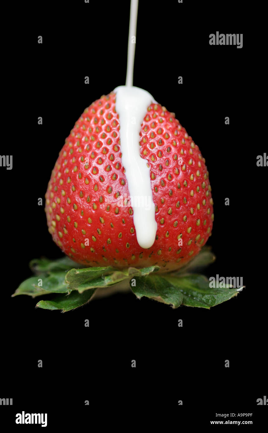 Strawberry upside down with cream poured over it against black ...