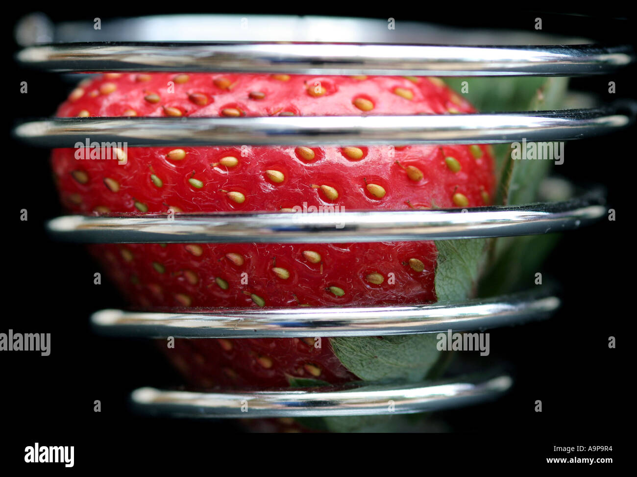 Strawberry in a stainless steel wire cup against black background Stock ...