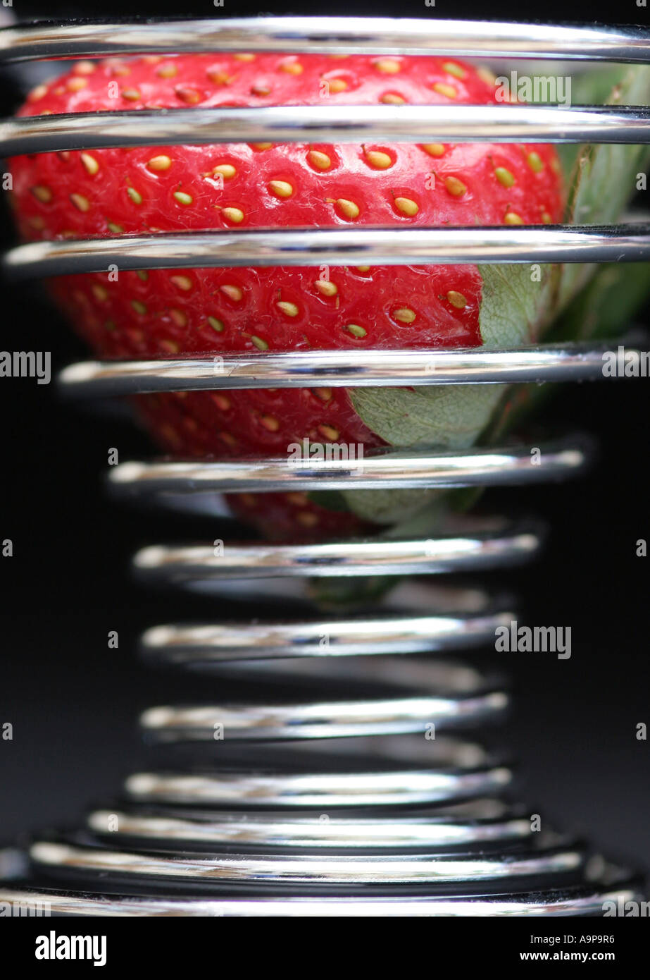Strawberry in a stainless steel wire cup against black background Stock ...