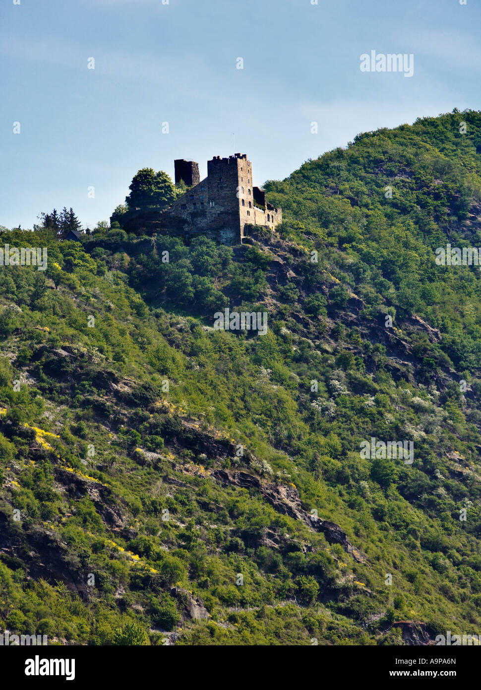 Liebenstein castle hi-res stock photography and images - Alamy