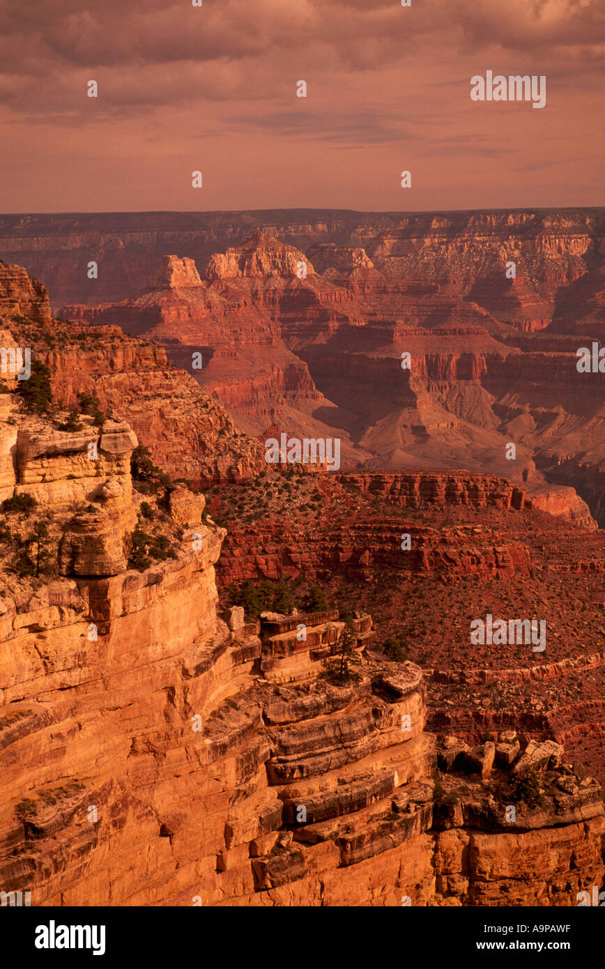 A View into the Grand Canyon from the South Rim in Grand Canyon ...