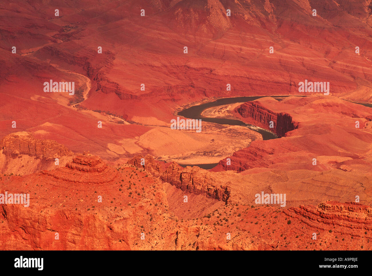 The Colorado River flowing through the Grand Canyon in Grand Canyon ...