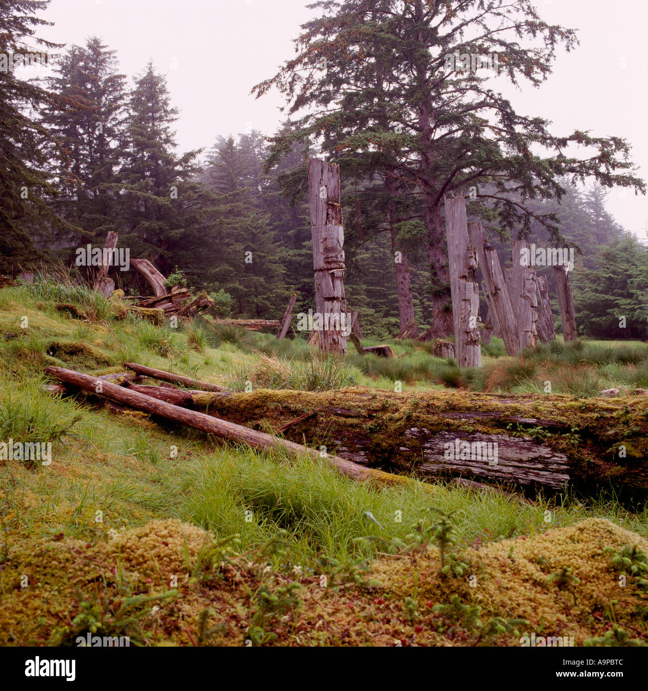 Anthony island totem poles hi-res stock photography and images - Alamy