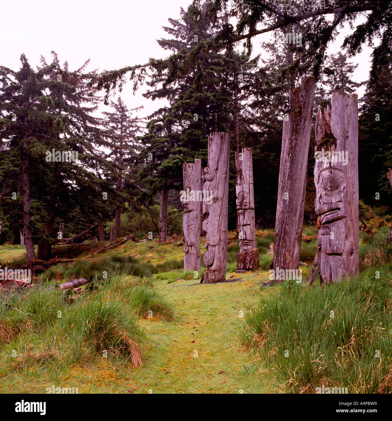 Totem Poles, Ninstints, Haida Gwaii, (Queen Charlotte Islands), BC ...