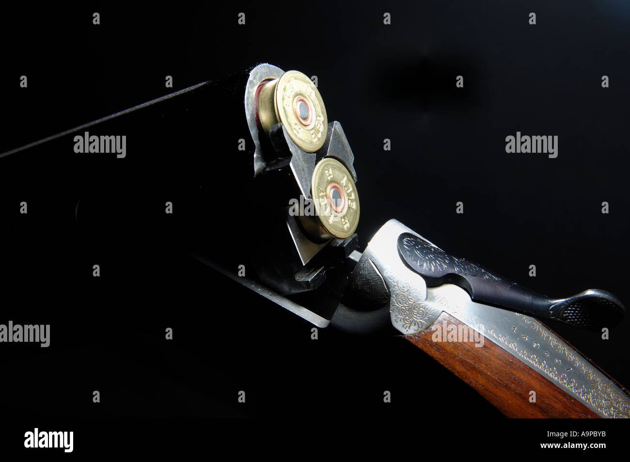 12 Bore Shotgun High Resolution Stock Photography and Images - Alamy