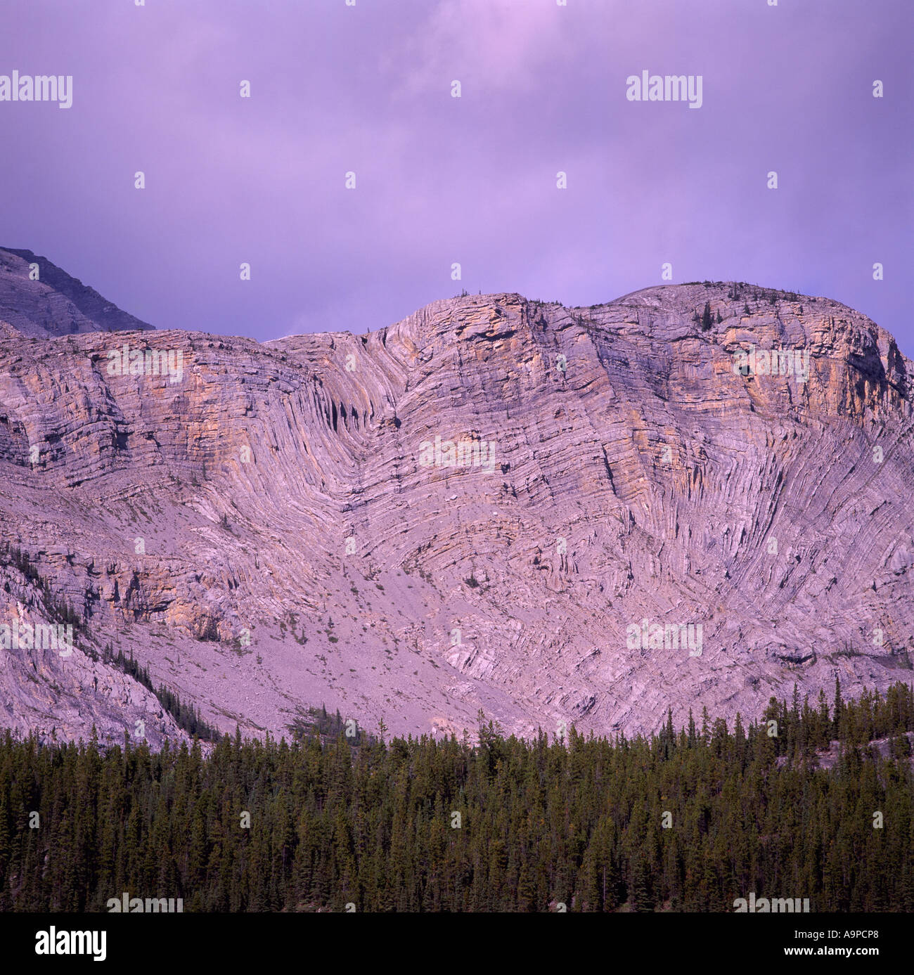 Folded Mountain, Northern Rocky Mountains near Muncho Lake Provincial ...