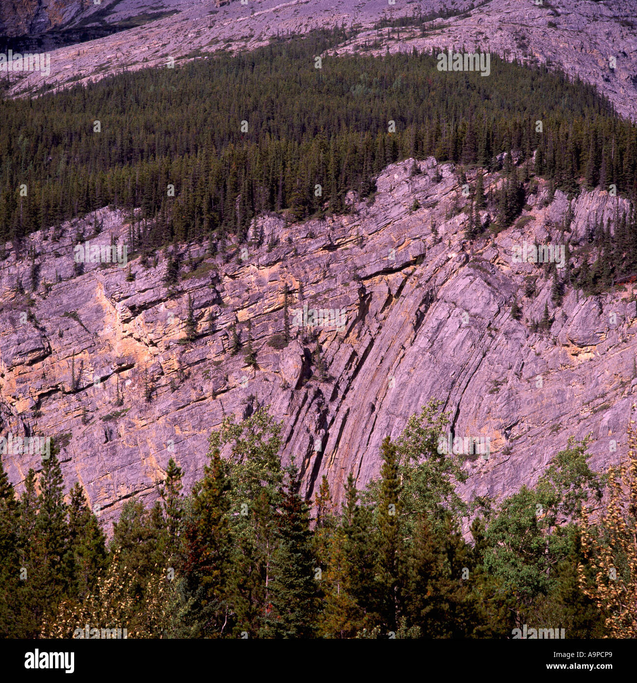 Striated rock face hi-res stock photography and images - Alamy