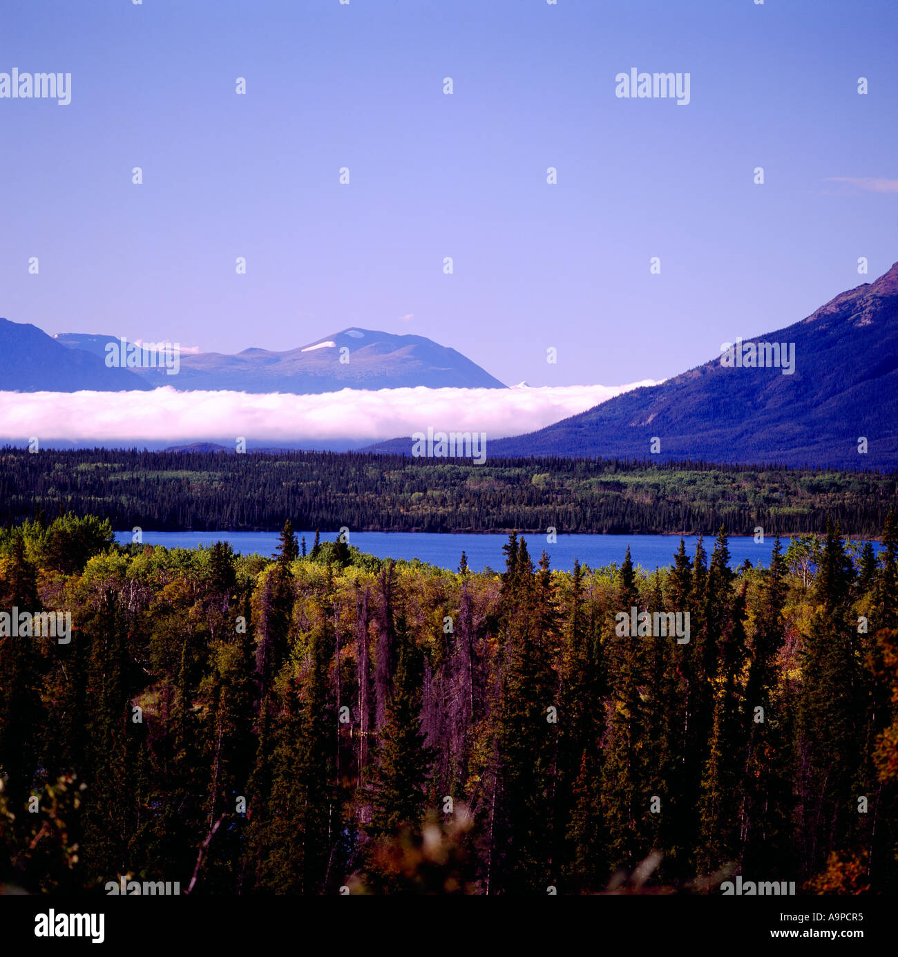 Atlin bc hi-res stock photography and images - Alamy