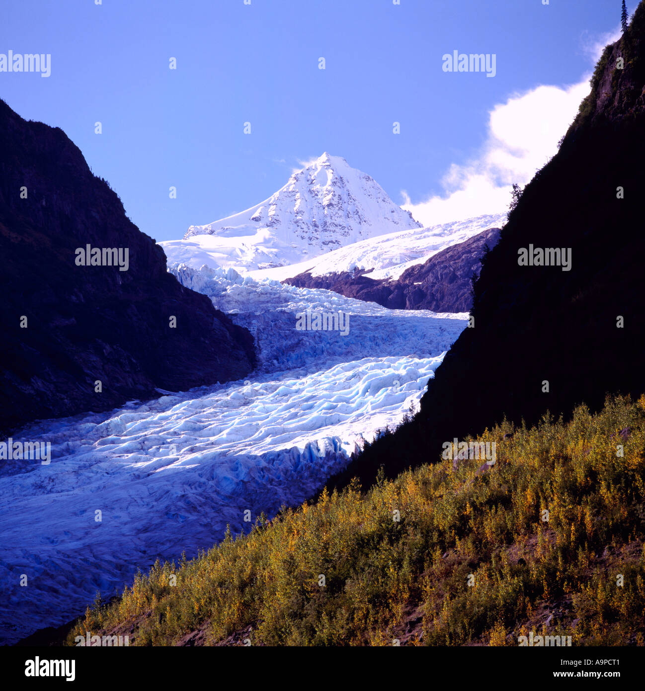 Bear Glacier along Highway 37A to Northern Border Villages of Stewart ...