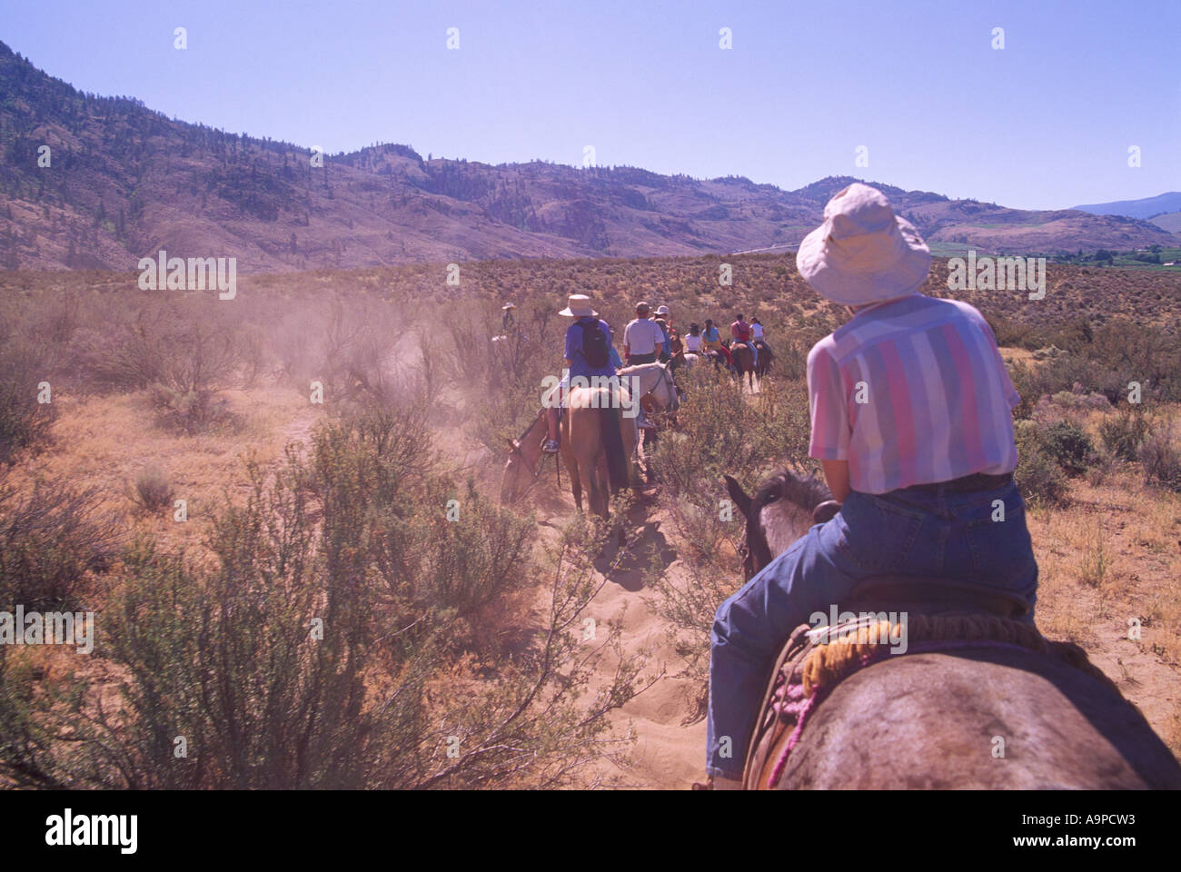 Pocket desert hi-res stock photography and images - Alamy
