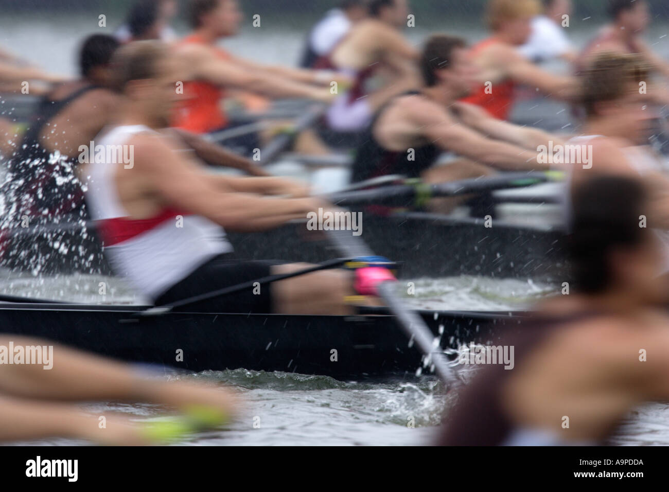 Rowers competing in a race Stock Photo - Alamy