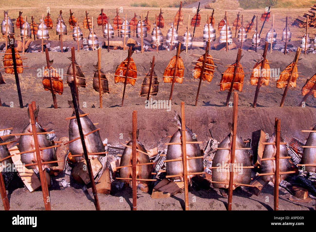 Indigenous cooking method hi-res stock photography and images - Alamy