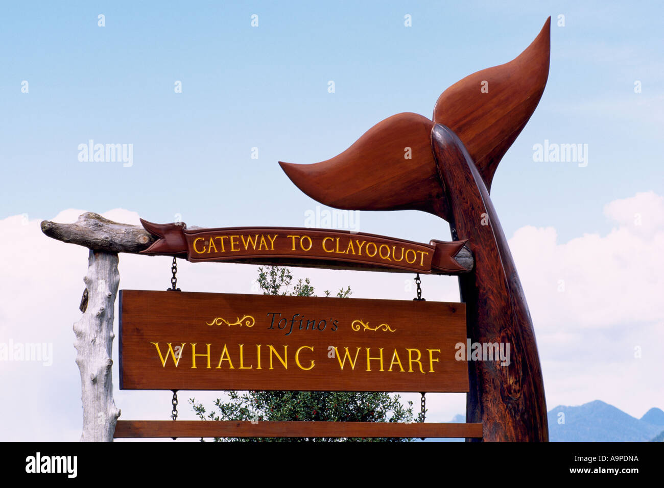 Blue whale signs hi-res stock photography and images - Alamy