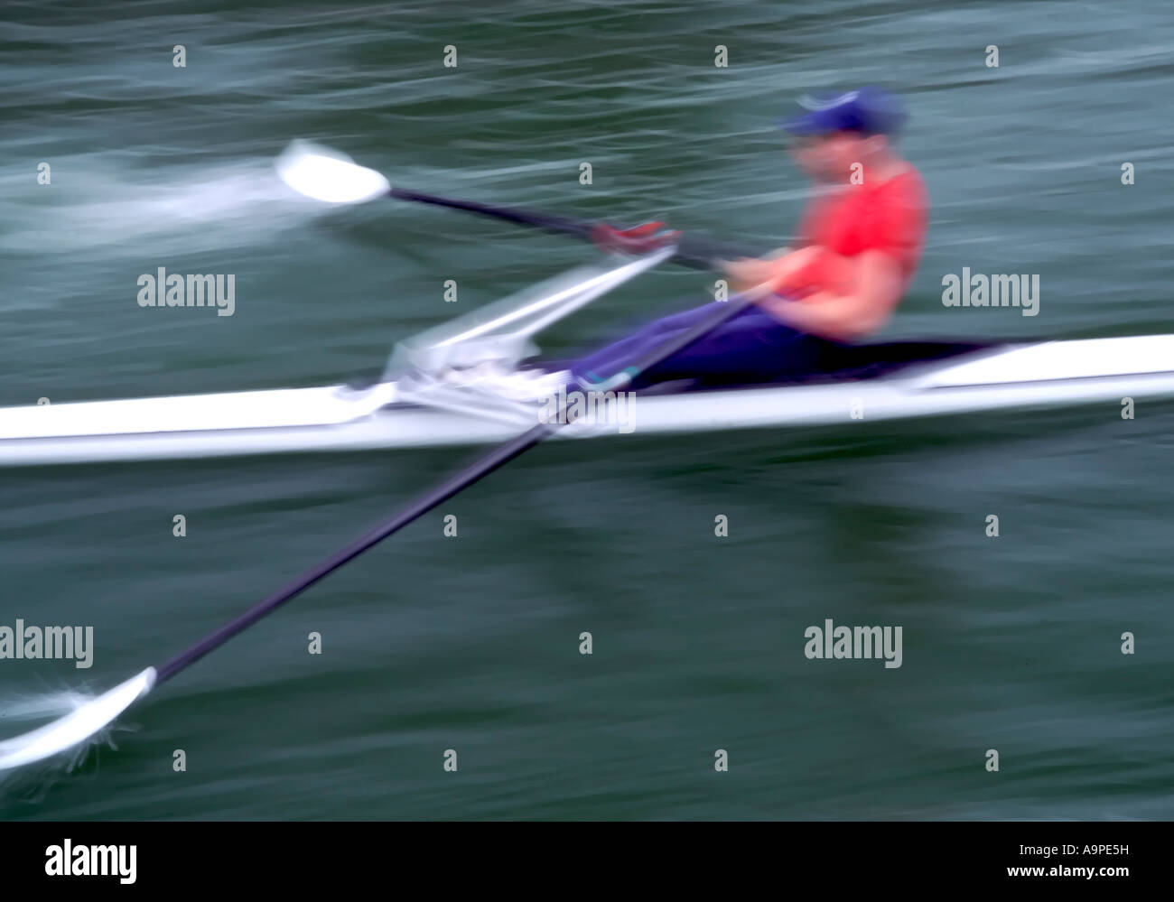 A single rower at a competition Stock Photo - Alamy