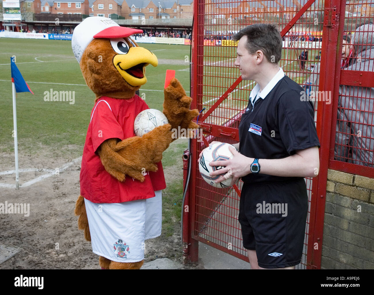 The team mascots shows the referee a red card Stock Photo - Alamy