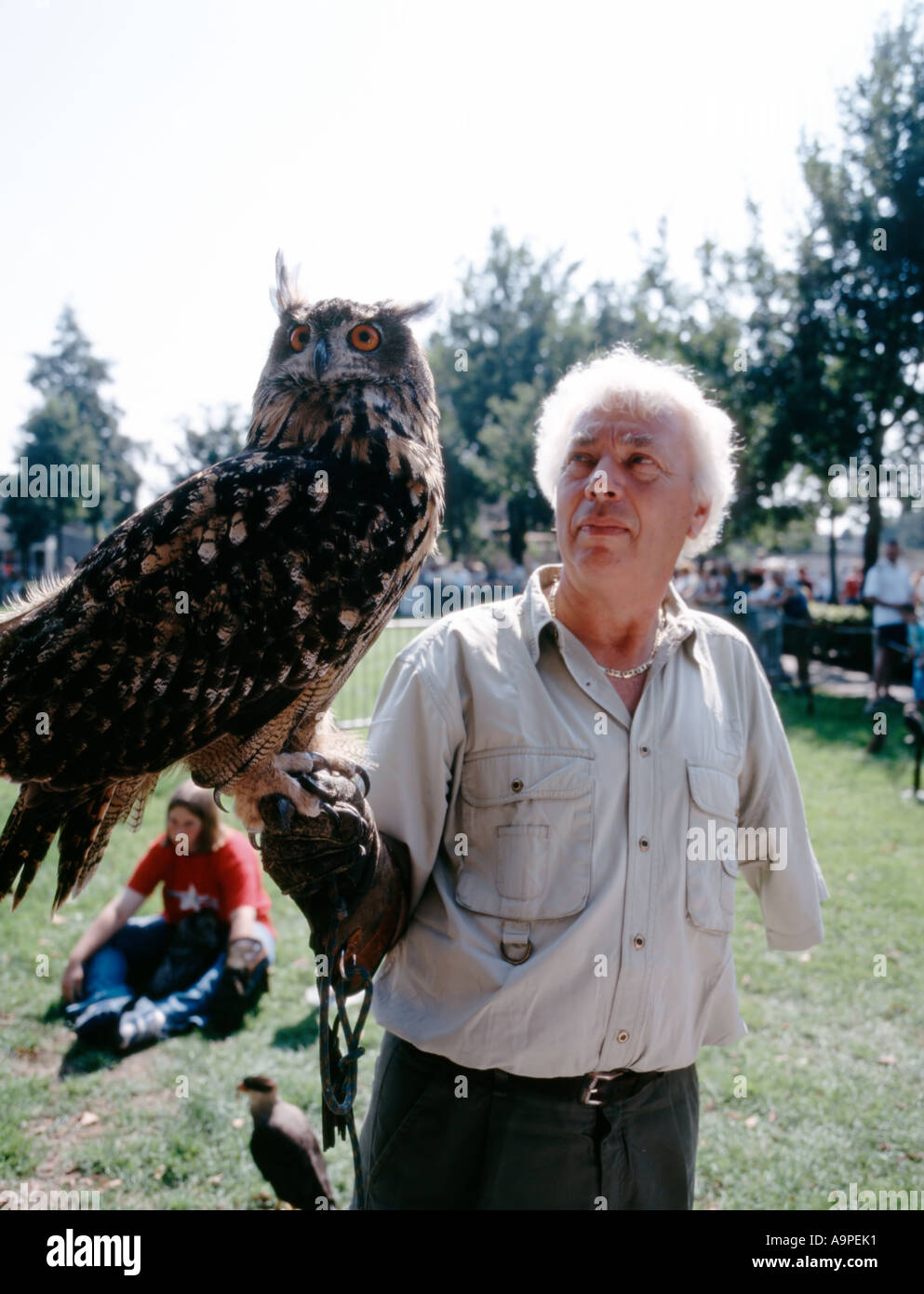 Man with falcon Stock Photo - Alamy