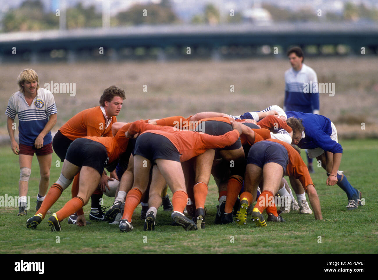 Group of male rugby players playing in game Stock Photo - Alamy