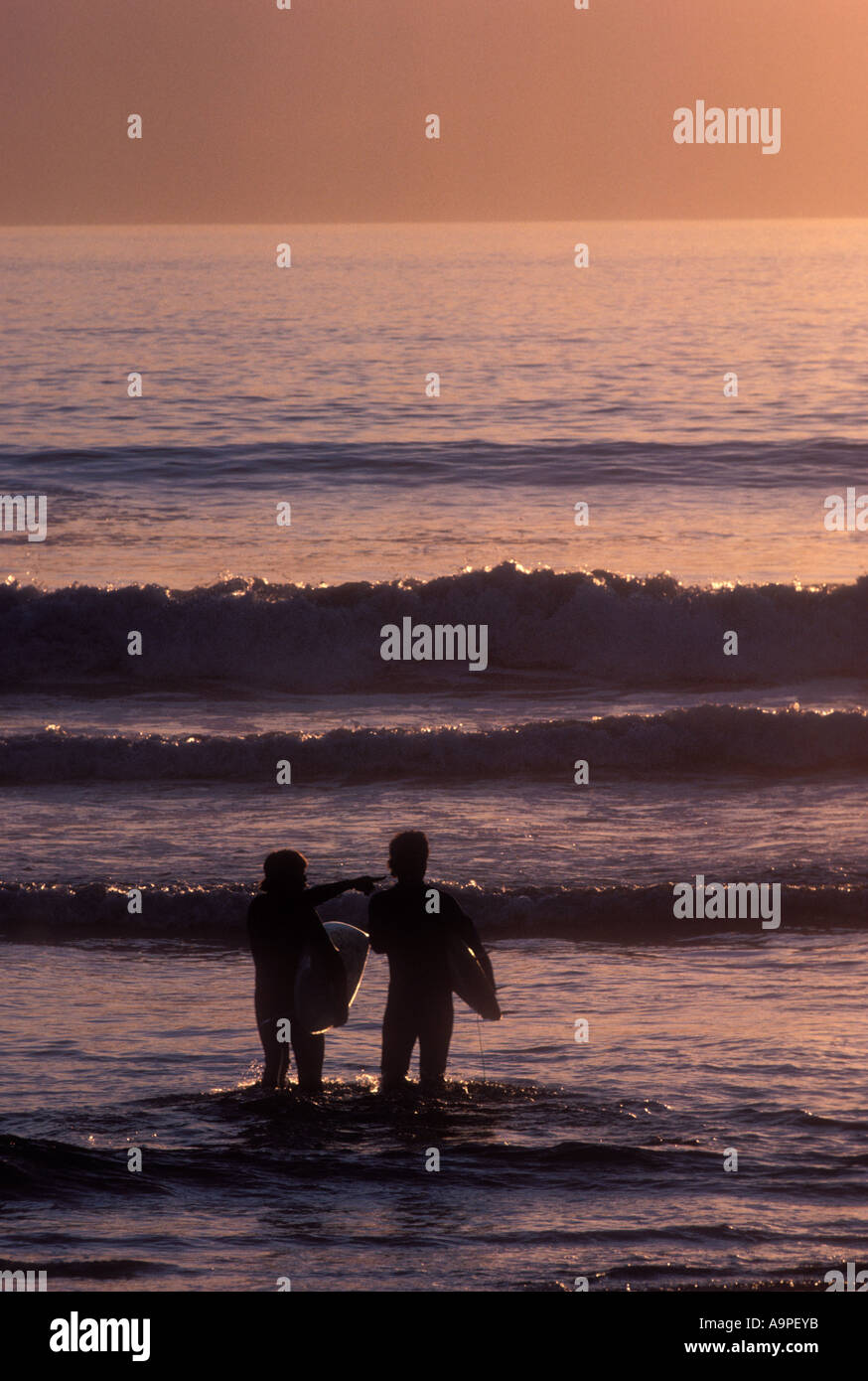 Two people with surfboards at sunset in the ocean Stock Photo - Alamy