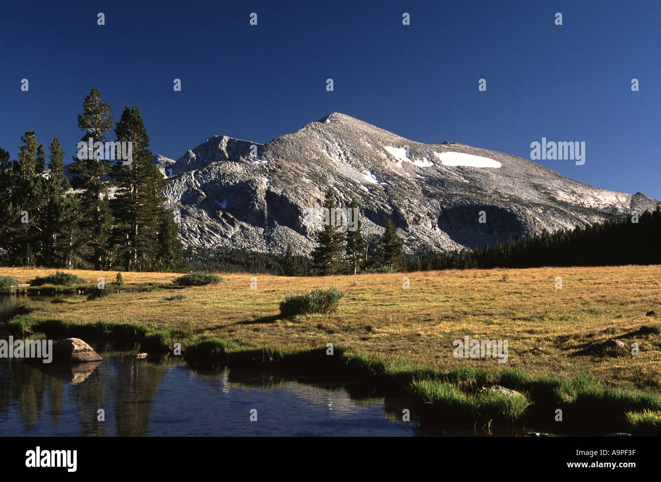 Meadows trail hi-res stock photography and images - Alamy