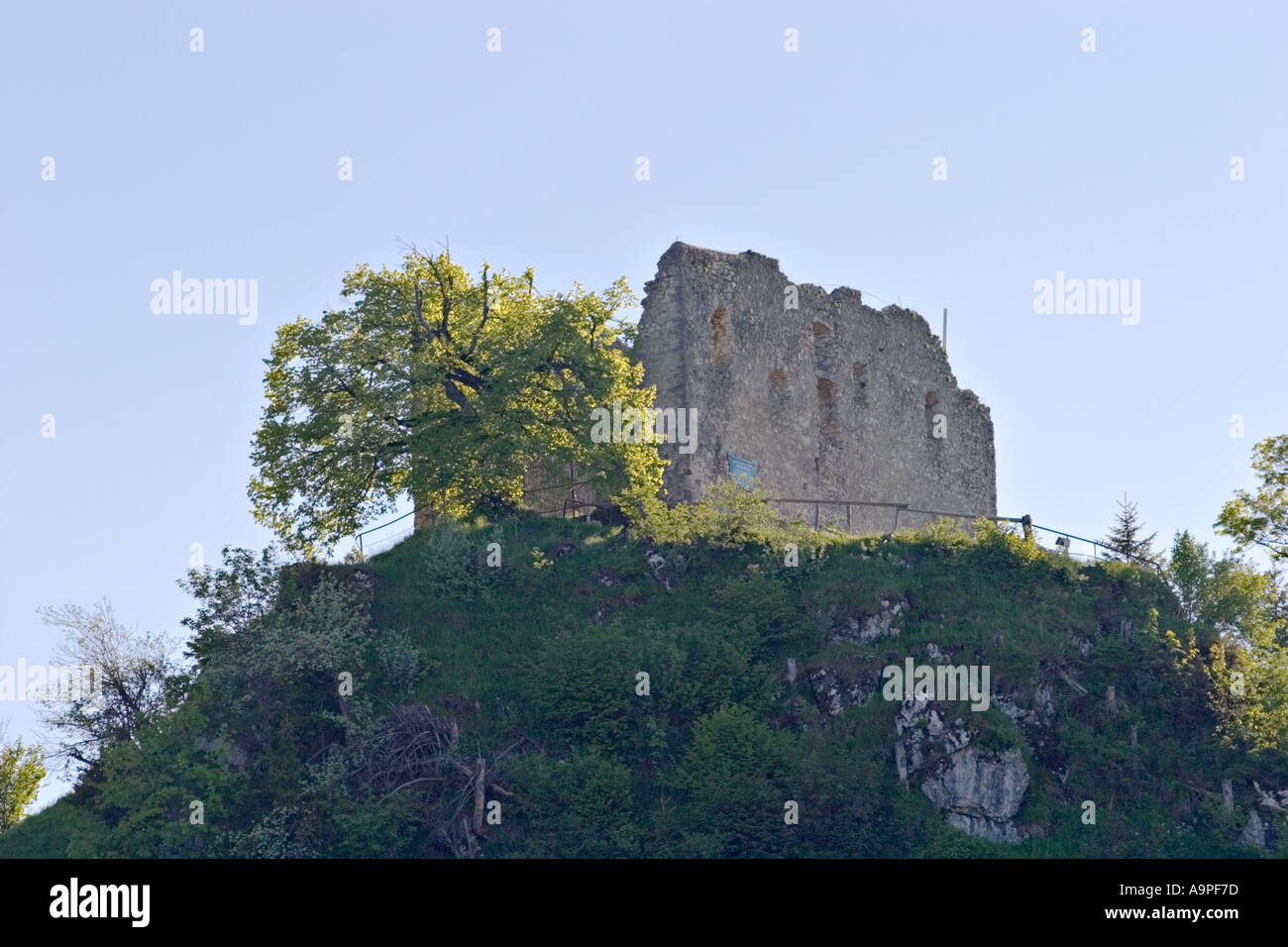 Falkenstein castle near pfronten hi-res stock photography and images ...