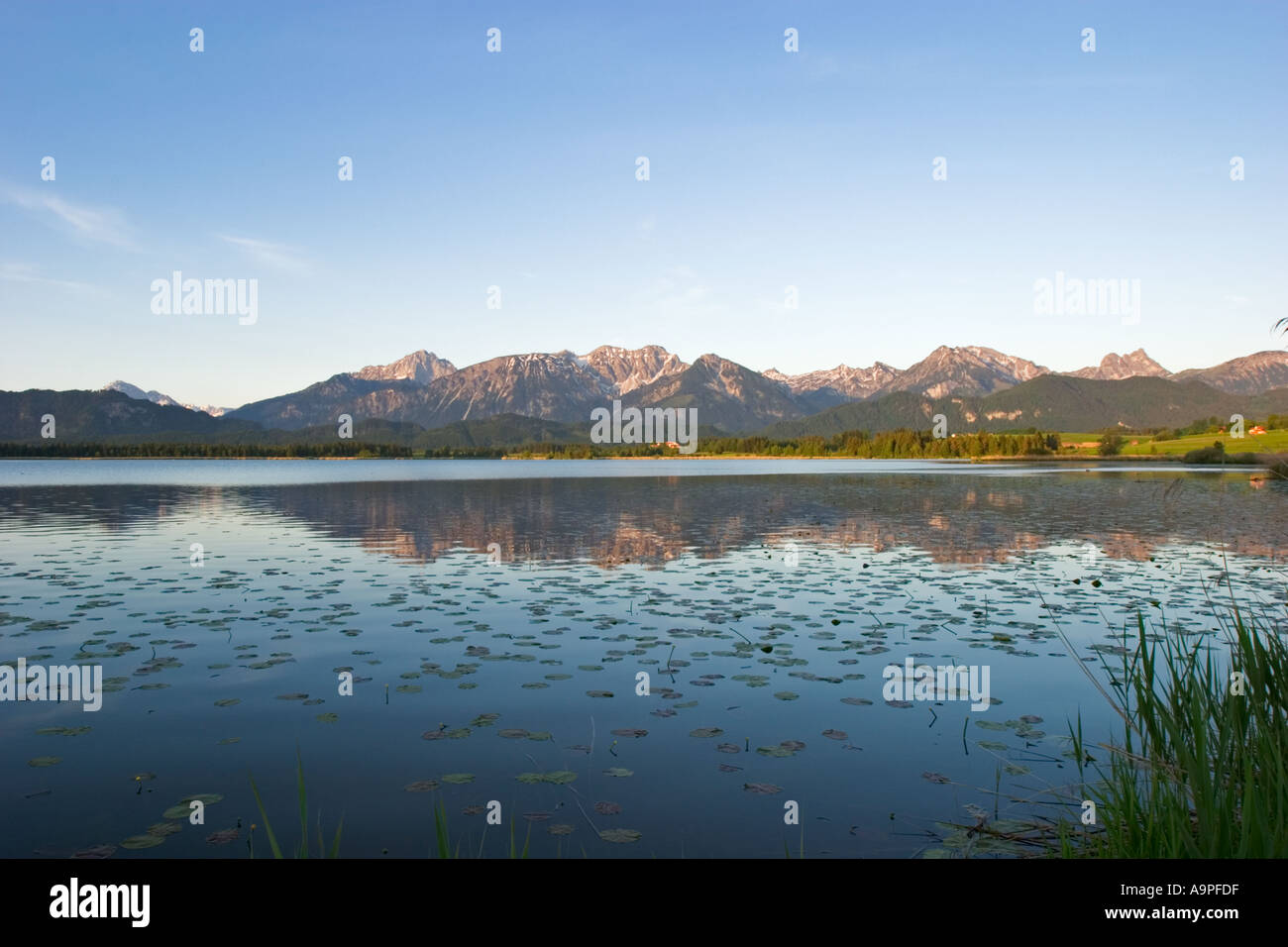 lake Hopfensee Germany Stock Photo - Alamy