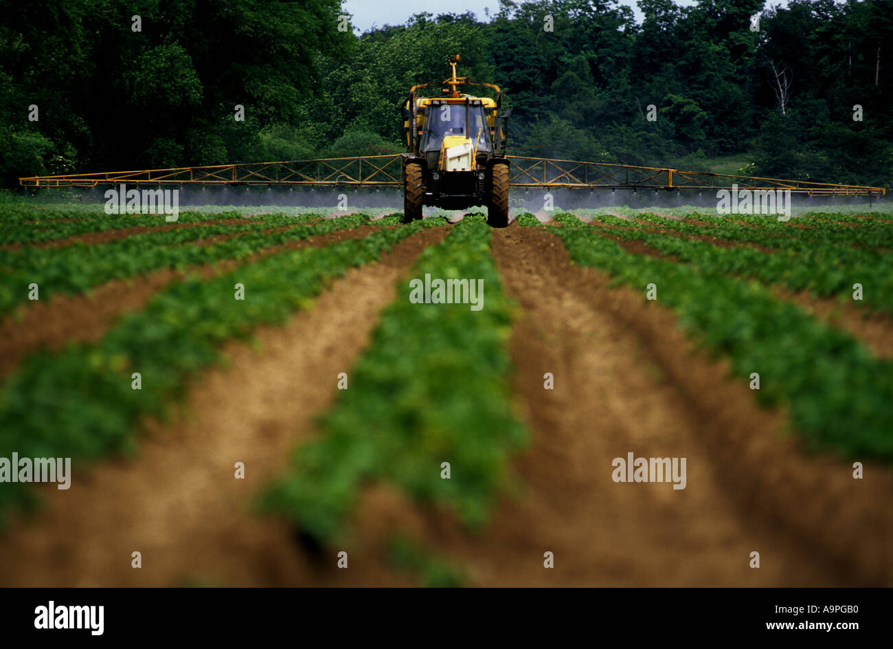 Potato crop spraying uk hi-res stock photography and images - Alamy