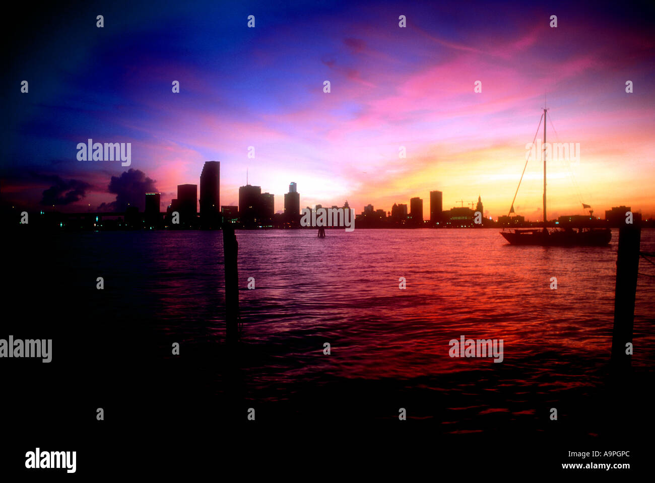 The Miami skyline at dusk Florida USA Stock Photo - Alamy