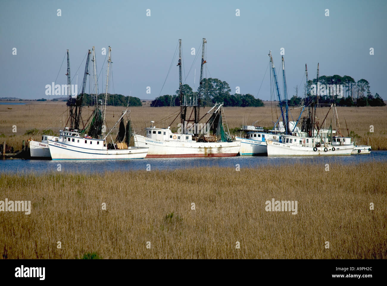 Shrimpers anchored in the inlet in coastal Georgia USA Stock Photo - Alamy