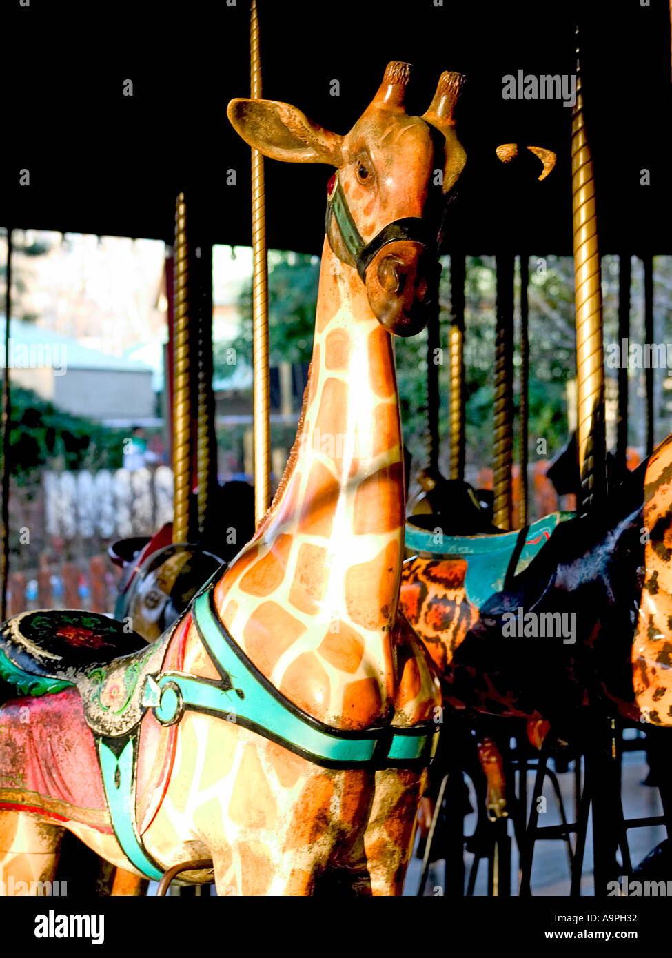 Carousel giraffe hi-res stock photography and images - Alamy