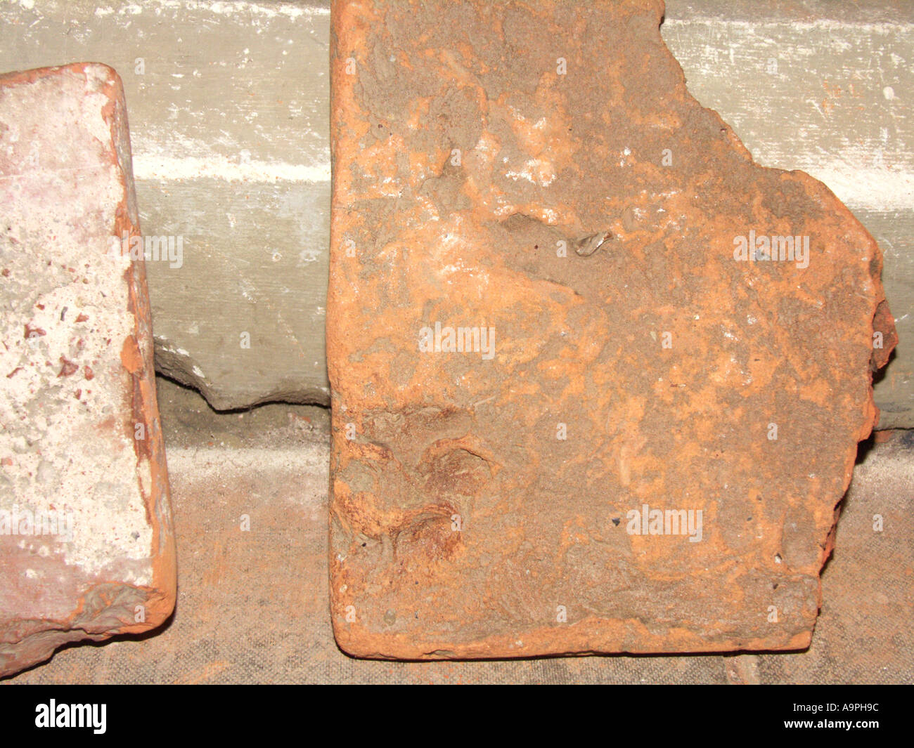 Colchester heritage hi-res stock photography and images - Alamy