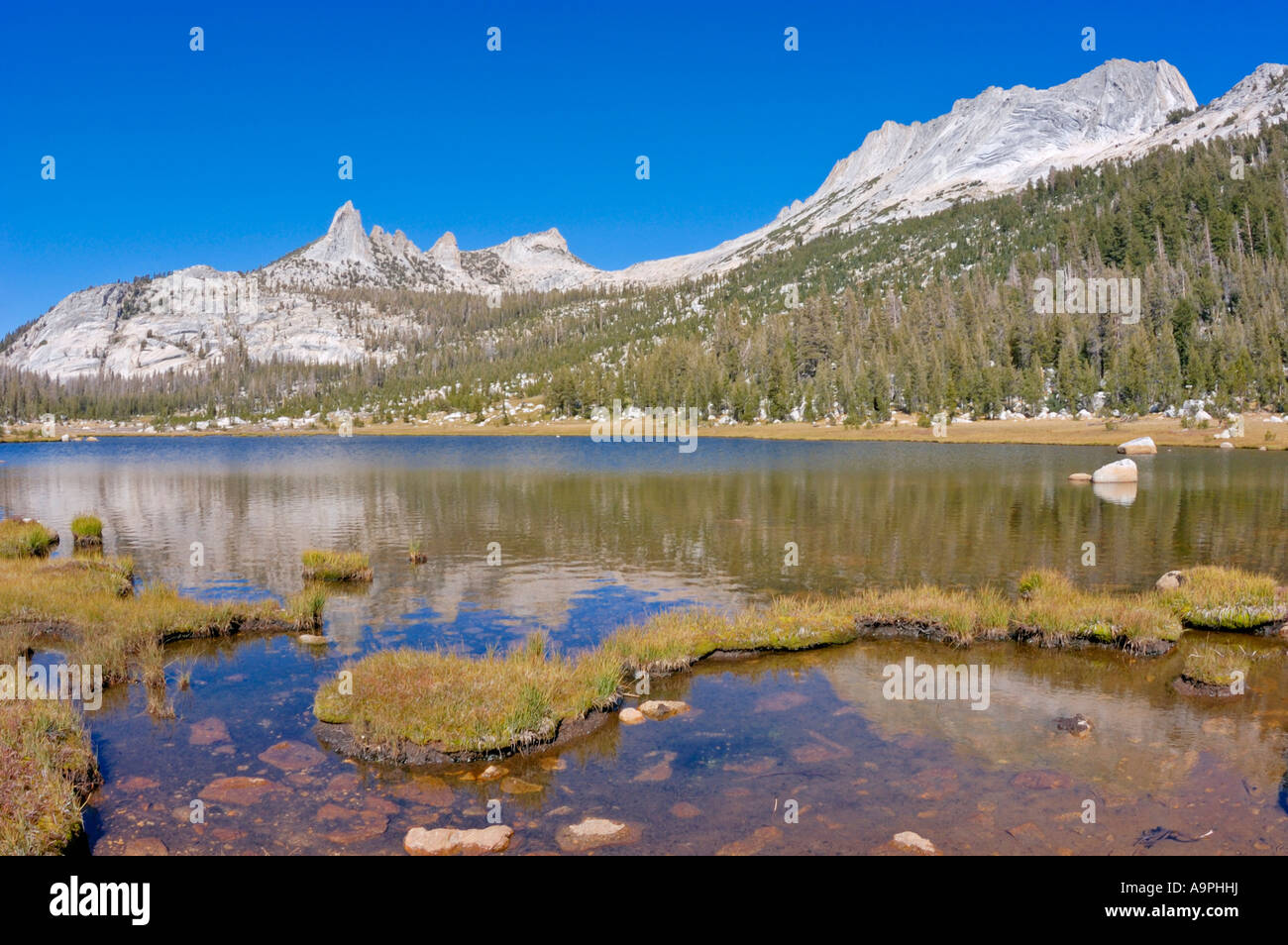 Matthes crest hi-res stock photography and images - Alamy