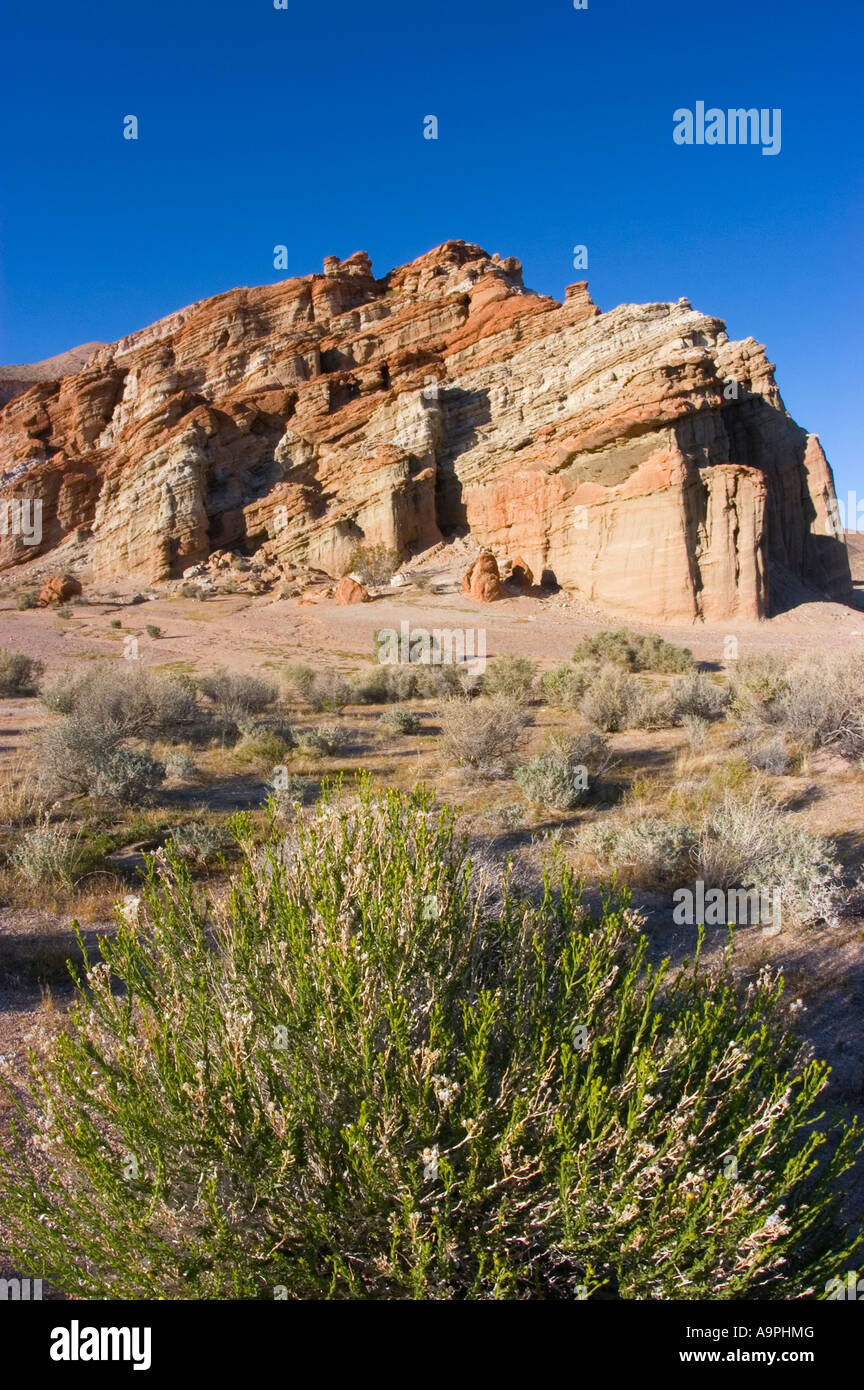 Evening light on rock formations Red Rock Canyon State Park Mojave ...