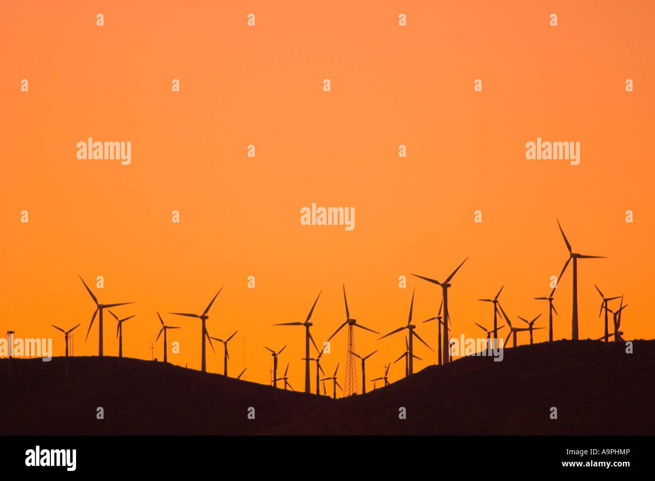 Wind turbines at the Tehachapi Wind Farm 2nd largest in the world at ...