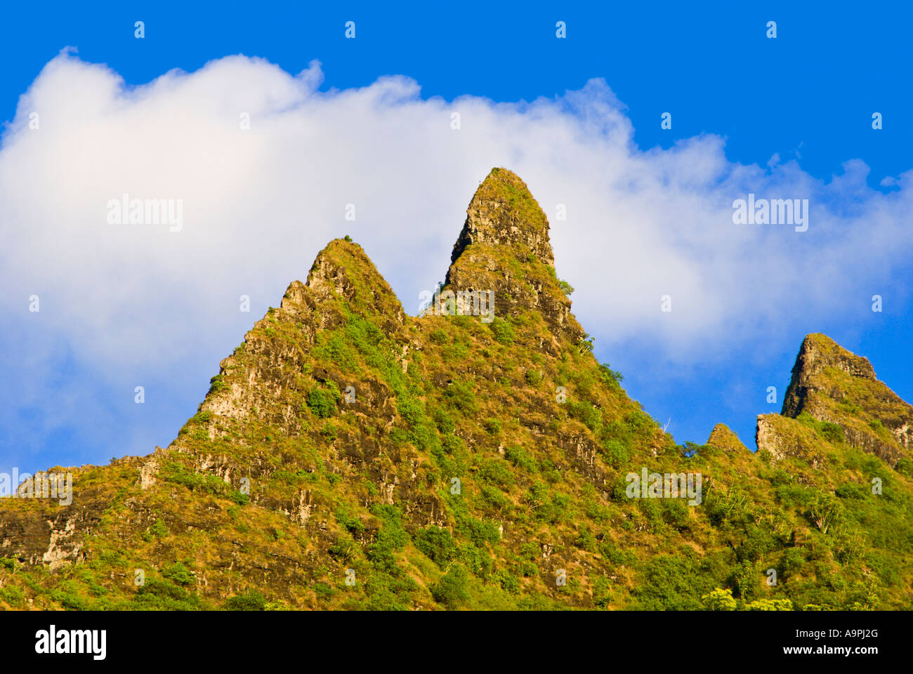 Lush cliffs and spires along the Kalalau Trail Na Pali Coast Island of ...