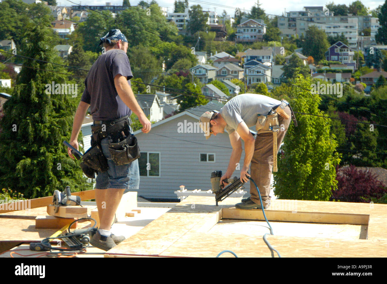 Frame carpenters building wall, Seattle, Washington Stock Photo - Alamy
