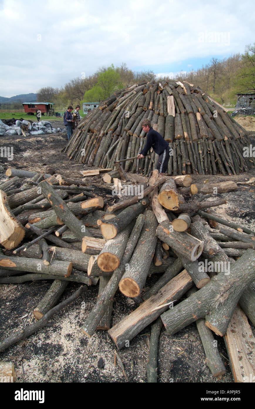Soft timber log wood pole stacked into dome shape ready for covering ...