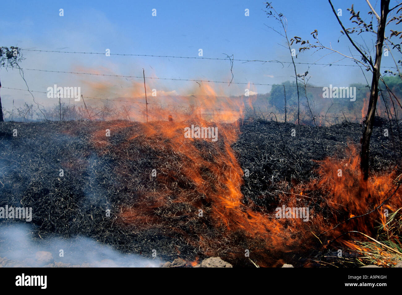 Slash and char hi-res stock photography and images - Alamy