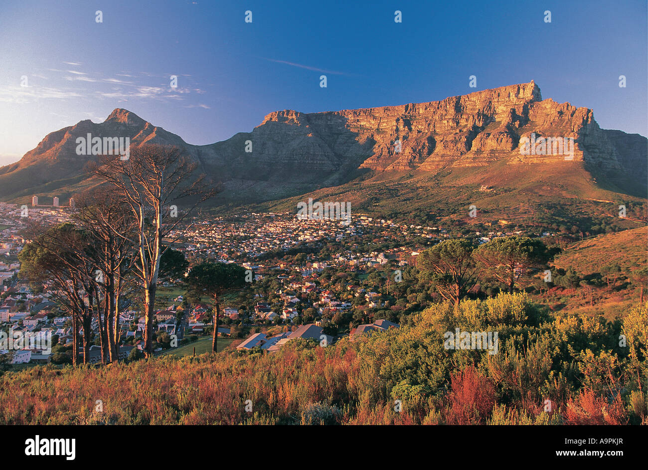 Evening view of suburbs of Cape Town and Table Mountain South Africa ...