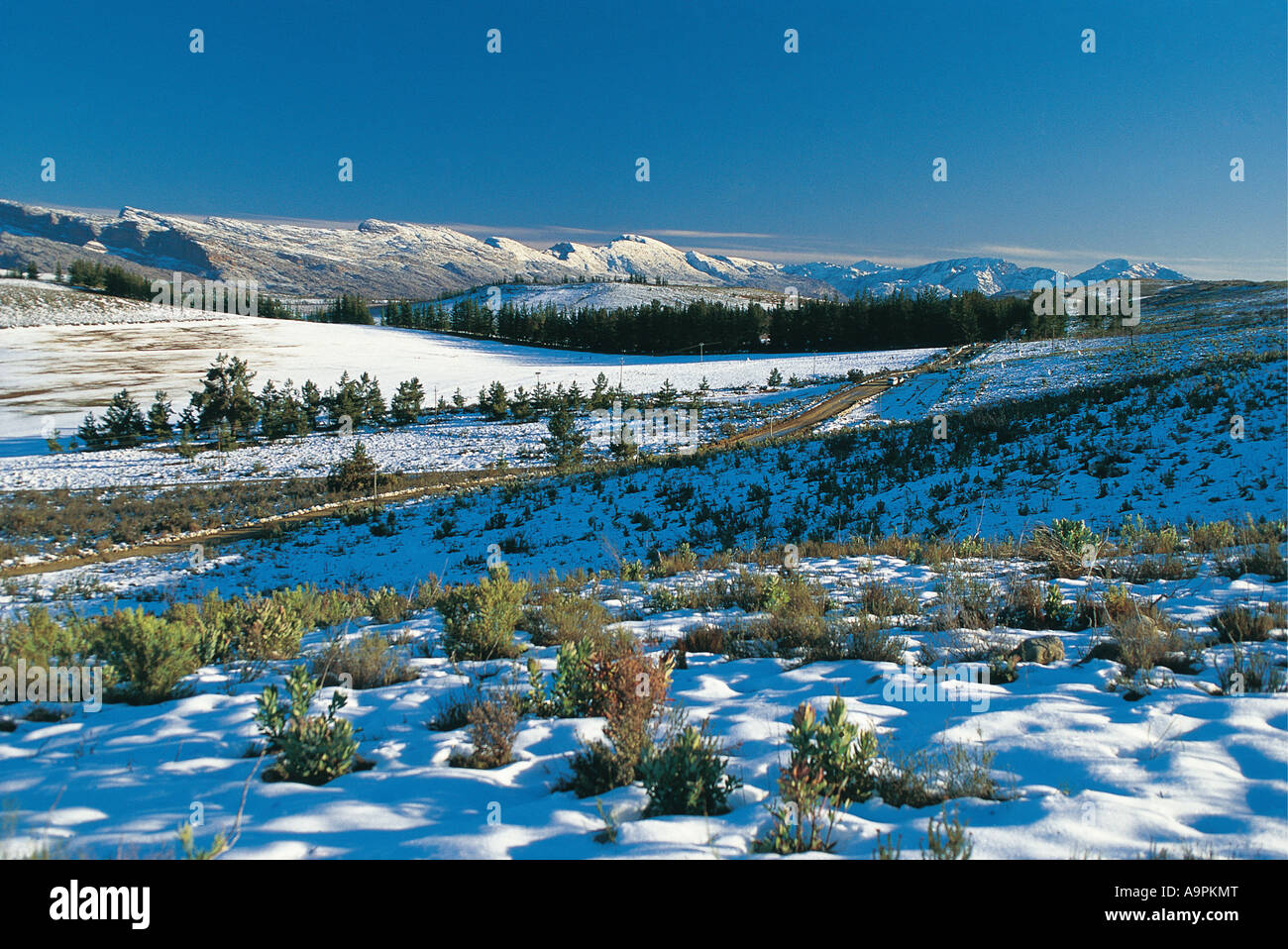 Snowy landscape Ceres Western Cape South Africa Stock Photo - Alamy